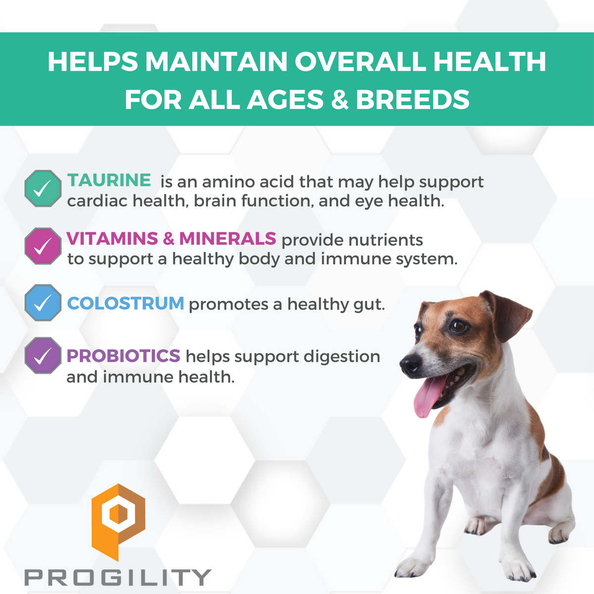 Progility Multivitamin Soft Chew Supplements for Dogs – Nootie Koha ...