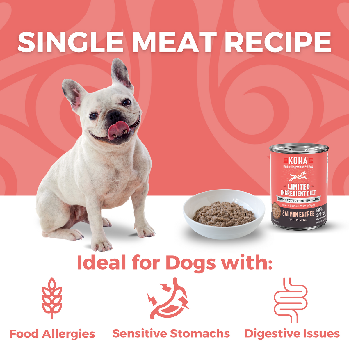 Limited Ingredient Diet Salmon Entrée for Dogs | KOHA Pet – Nootie Koha ...