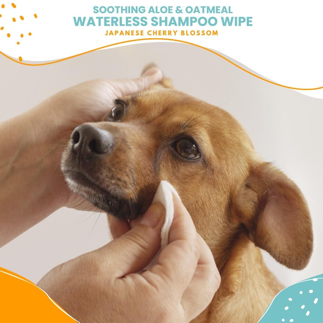 Waterless Shampoo Wipes w/ Aloe & Oatmeal - Japanese Cherry Blossom ...