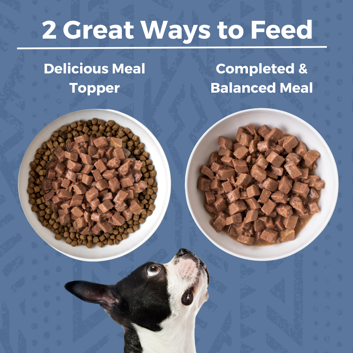 Rabbit Stew Wet Dog Food | KOHA Pet – Nootie Koha Wholesale