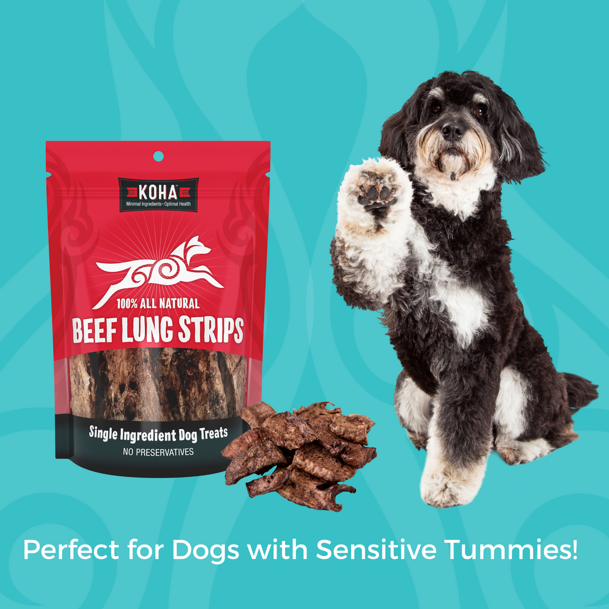 Single Ingredient Beef Lung Strips – Nootie Koha Wholesale