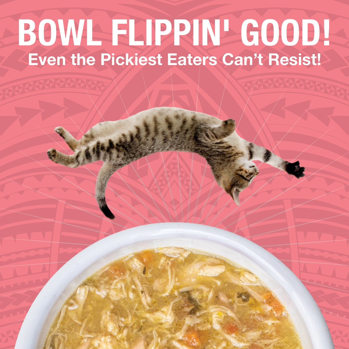 Pure Shreds Shredded Chicken Breast & Salmon Entrée for Cats – Nootie ...