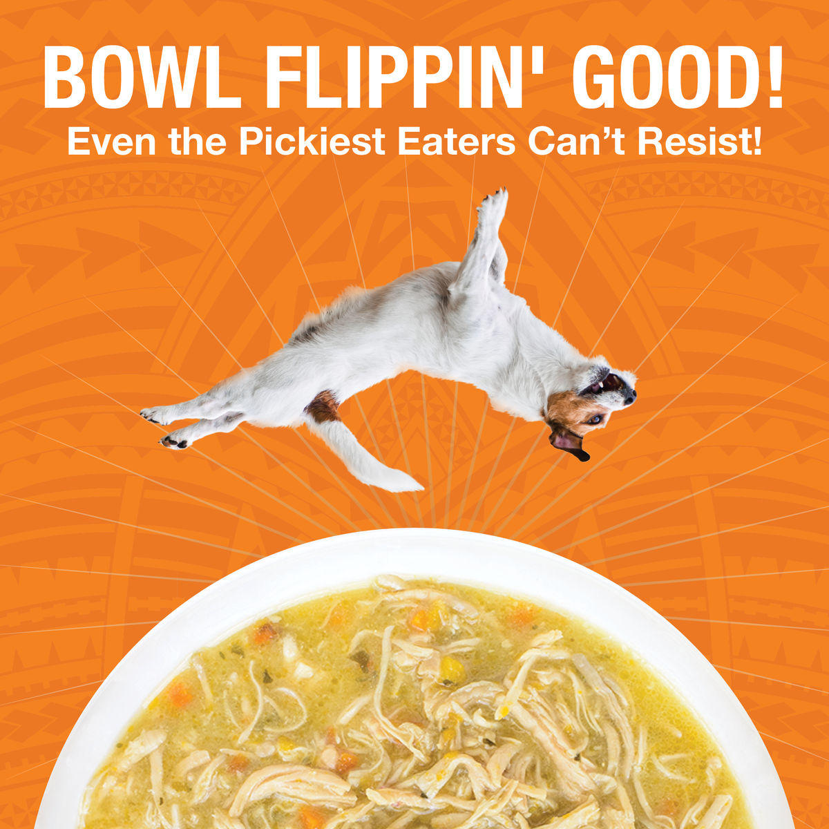 Pure Shreds Shredded Chicken Breast Entrée for Dogs – Nootie Koha Wholesale
