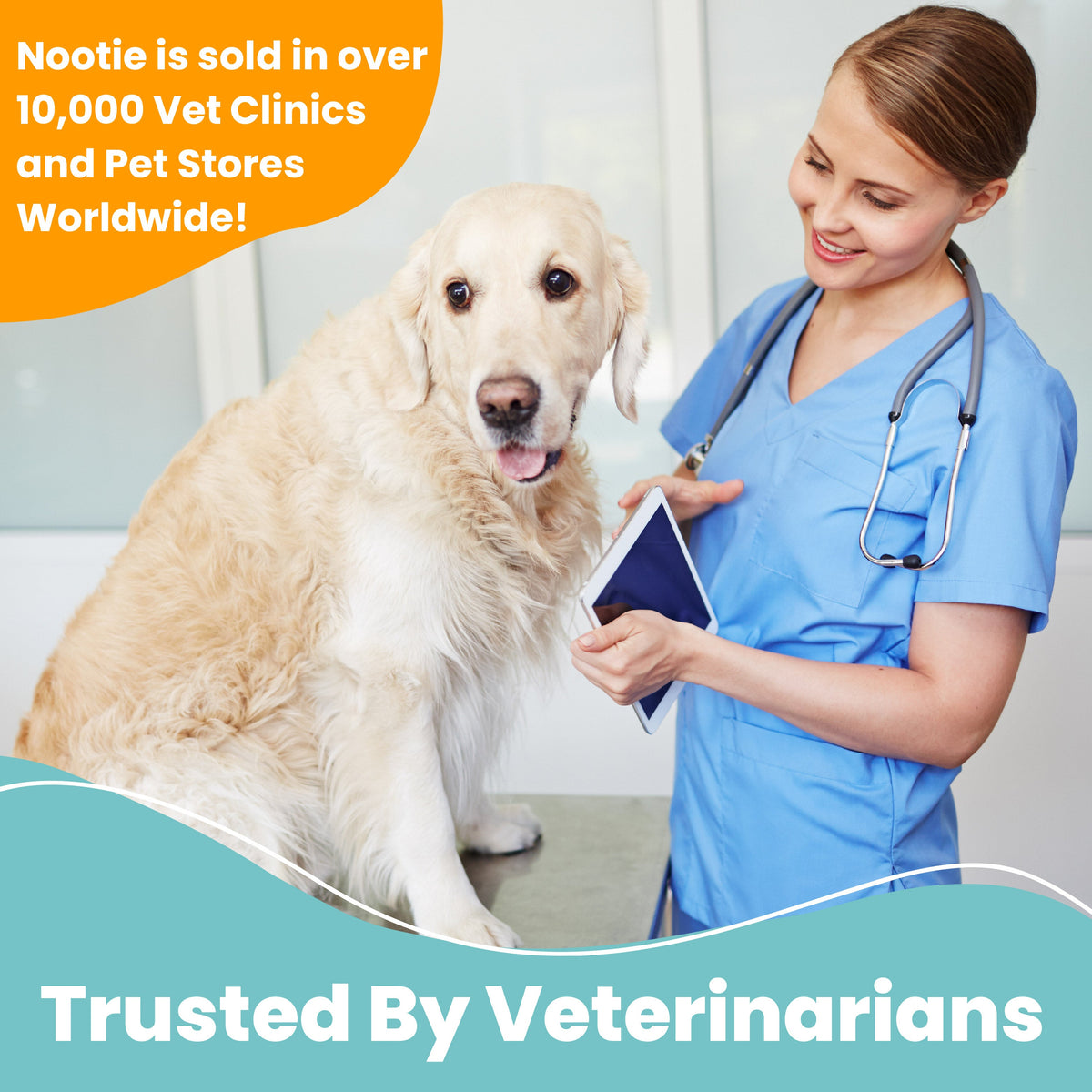 Progility Hip & Joint Soft Chew Supplements for Dogs – Nootie Koha ...