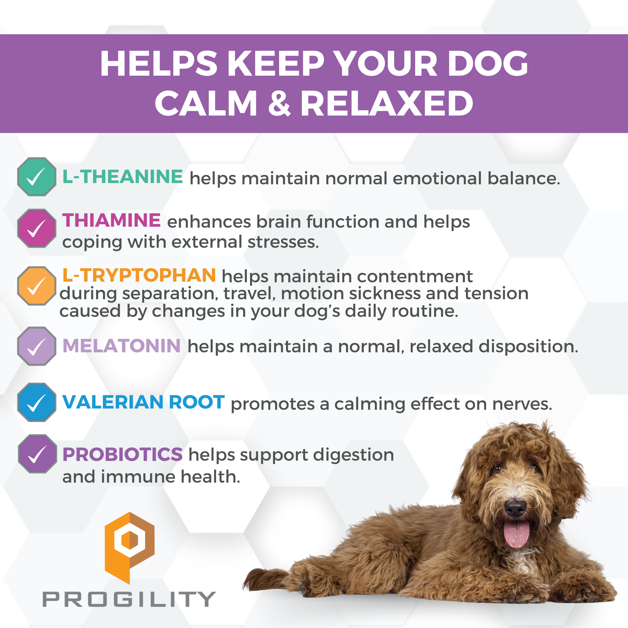 Progility Calming Aid Soft Chew Supplements for Dogs – Nootie Koha ...