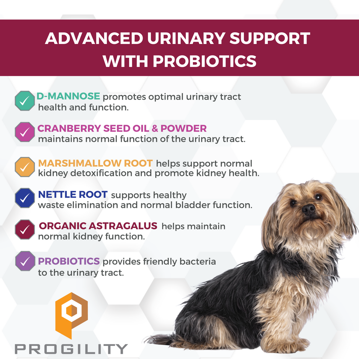 Progility Urinary Support Soft Chew Supplement for Dogs – Nootie Koha ...